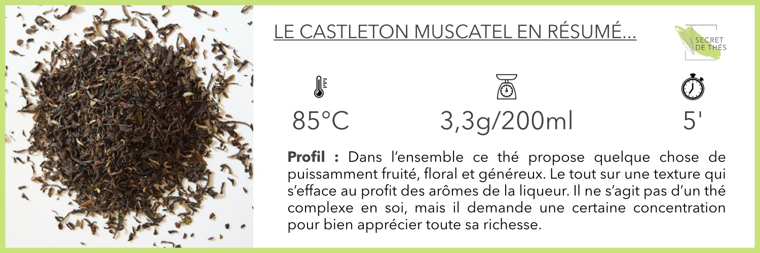 Thé Castleton Muscatel : Dégustation Darjeeling » Secret de Thés - Le Blog